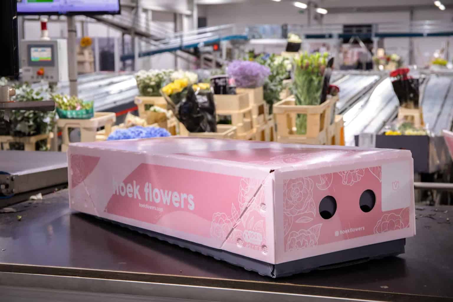 Thriving in Sustainability: The Emergence of Traceable Flower Boxes in ...